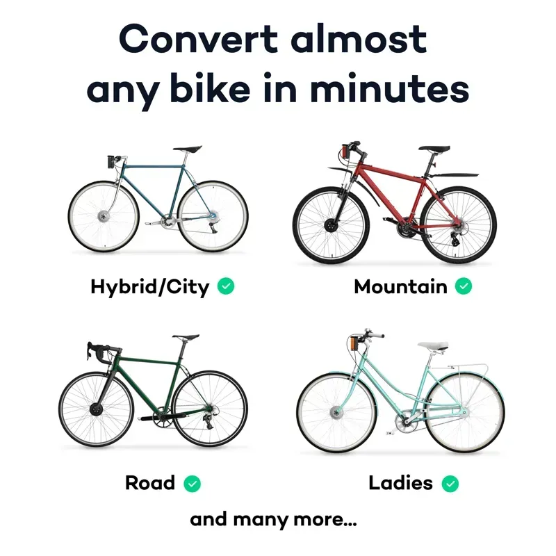 Swytch eBike Conversion Kit Max Battery LCD Display